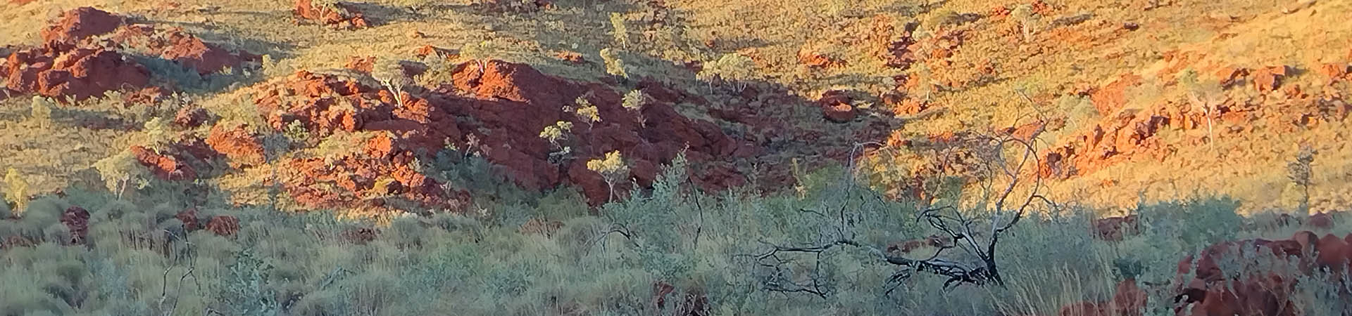 Pilbara - Iron Ore & Gold - Australian Critical Minerals